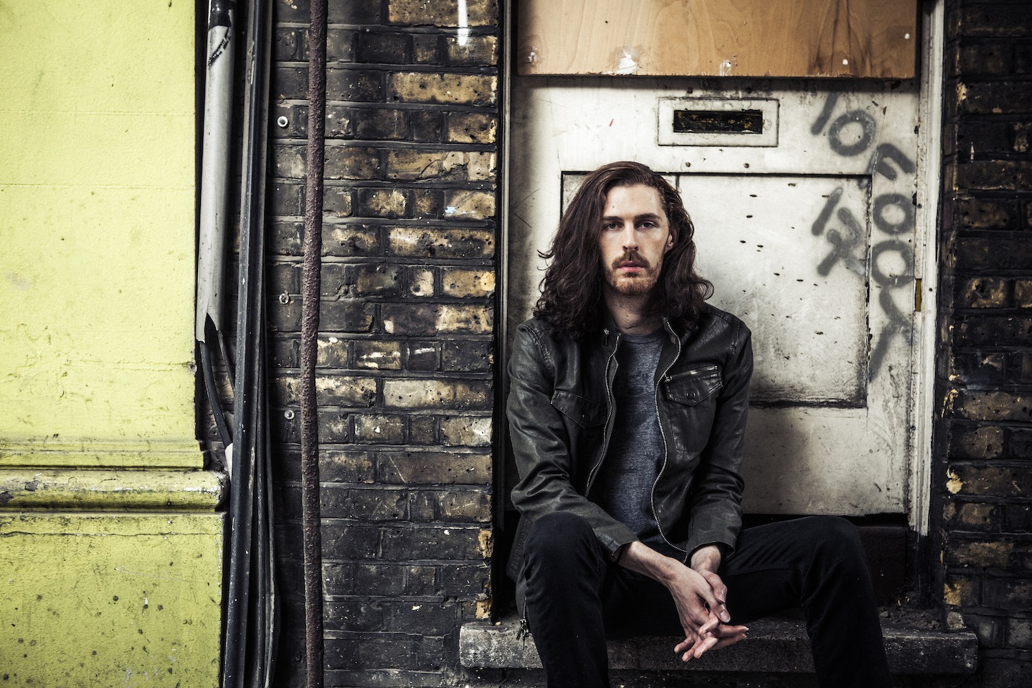 Hozier's Fierce, Elegant, and Irresistible 'Wasteland, Baby!' - Atwood ...
