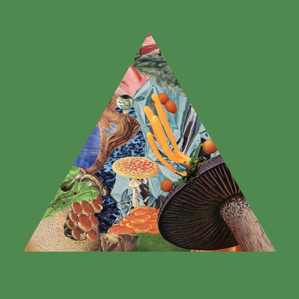 Modest Mouse's "Poison the Well" Is Laser-Focused Venom at the Powerful ...