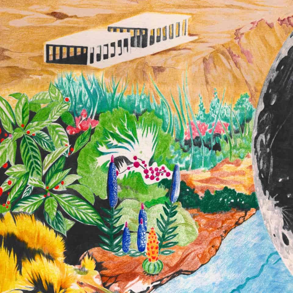 Interview: Wallis Bird's Big Bowl of Madness and Memories - Atwood Magazine