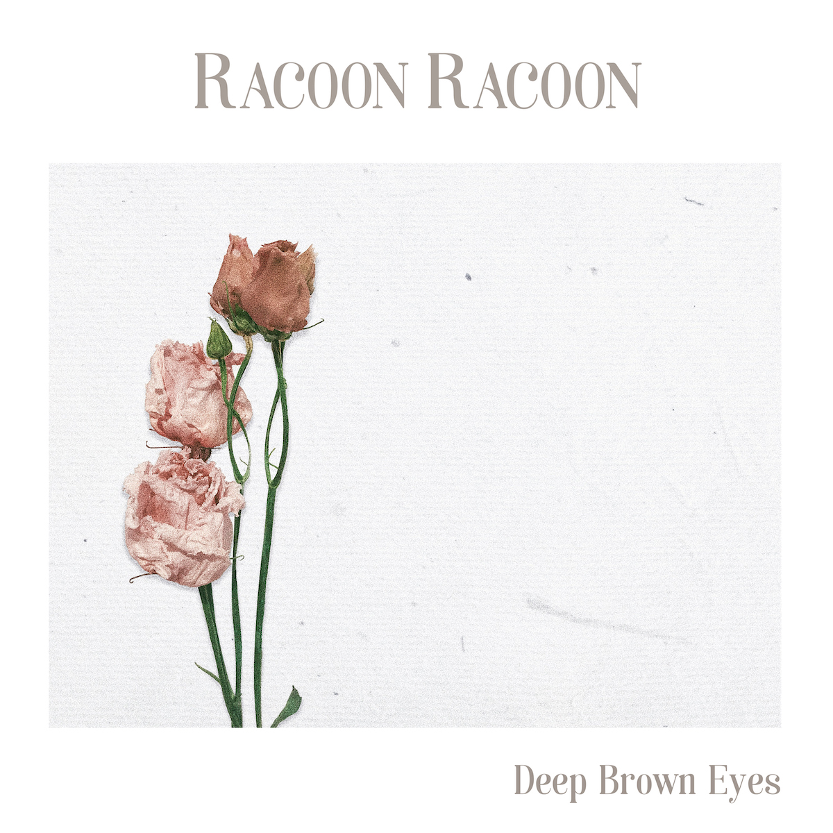 French Folk Duo Racoon Racoon Continue Their Eloquent Streak of ...