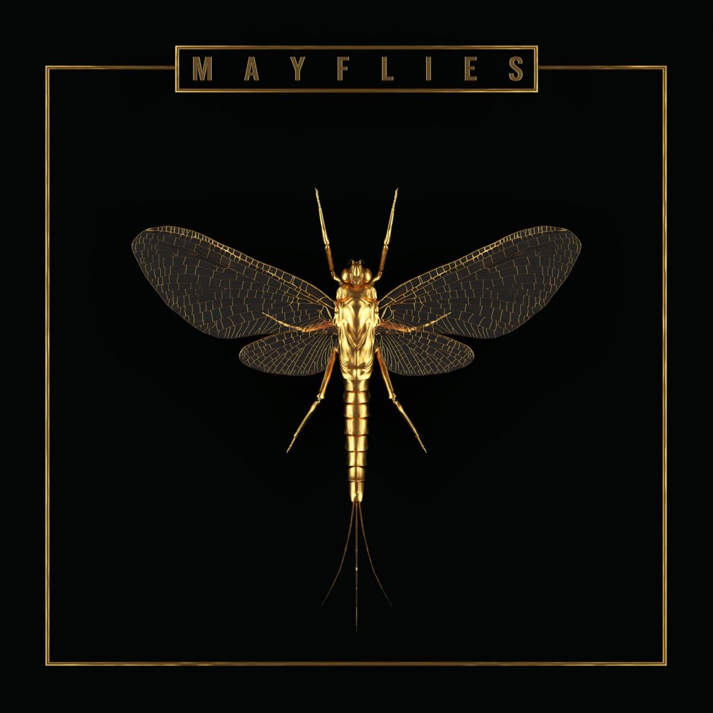 Track-by-Track: The Bergamot Dive into the Depths of 'Mayflies', an ...