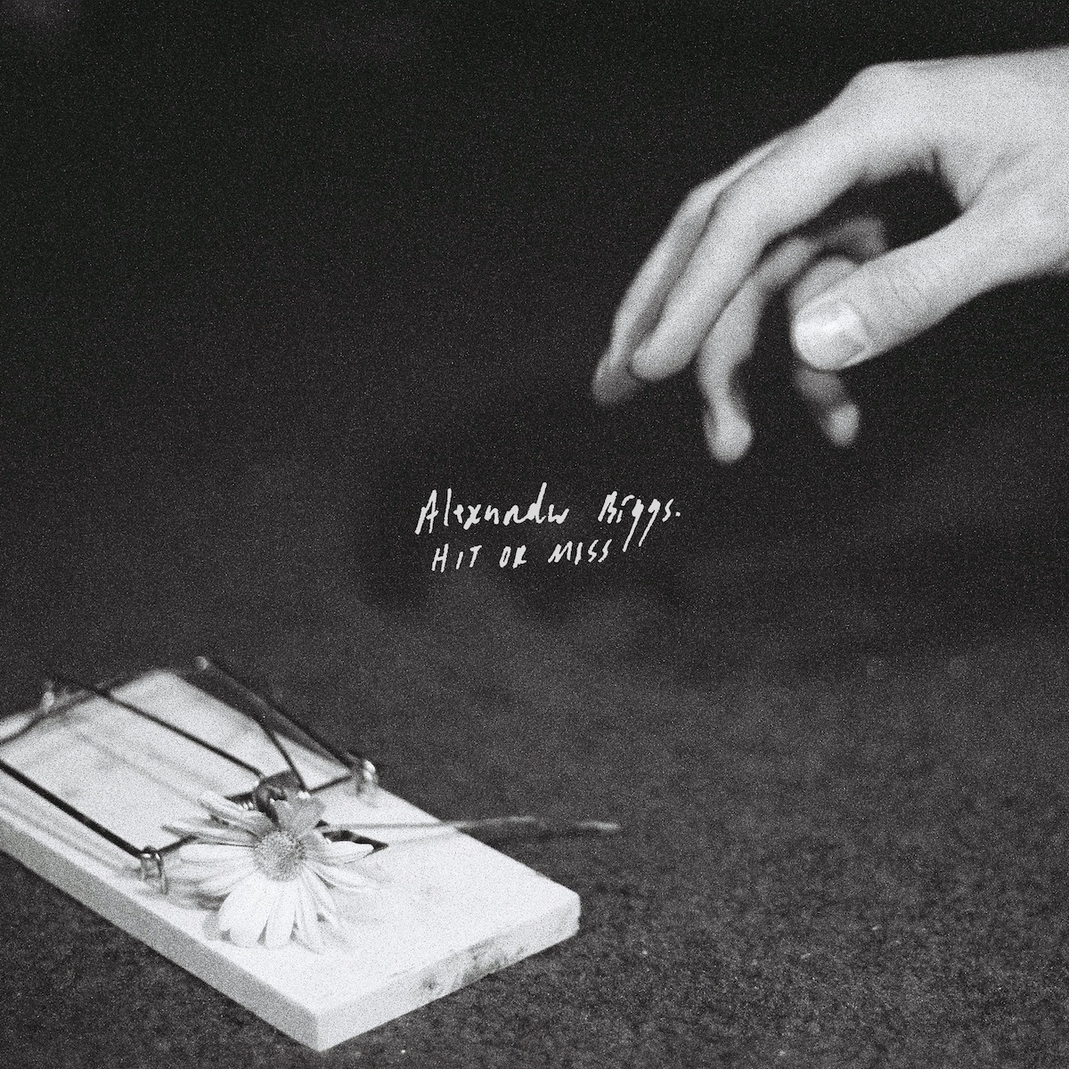 Interview with Alexander Biggs: ‘Hit or Miss,’ Always Swinging - Atwood ...