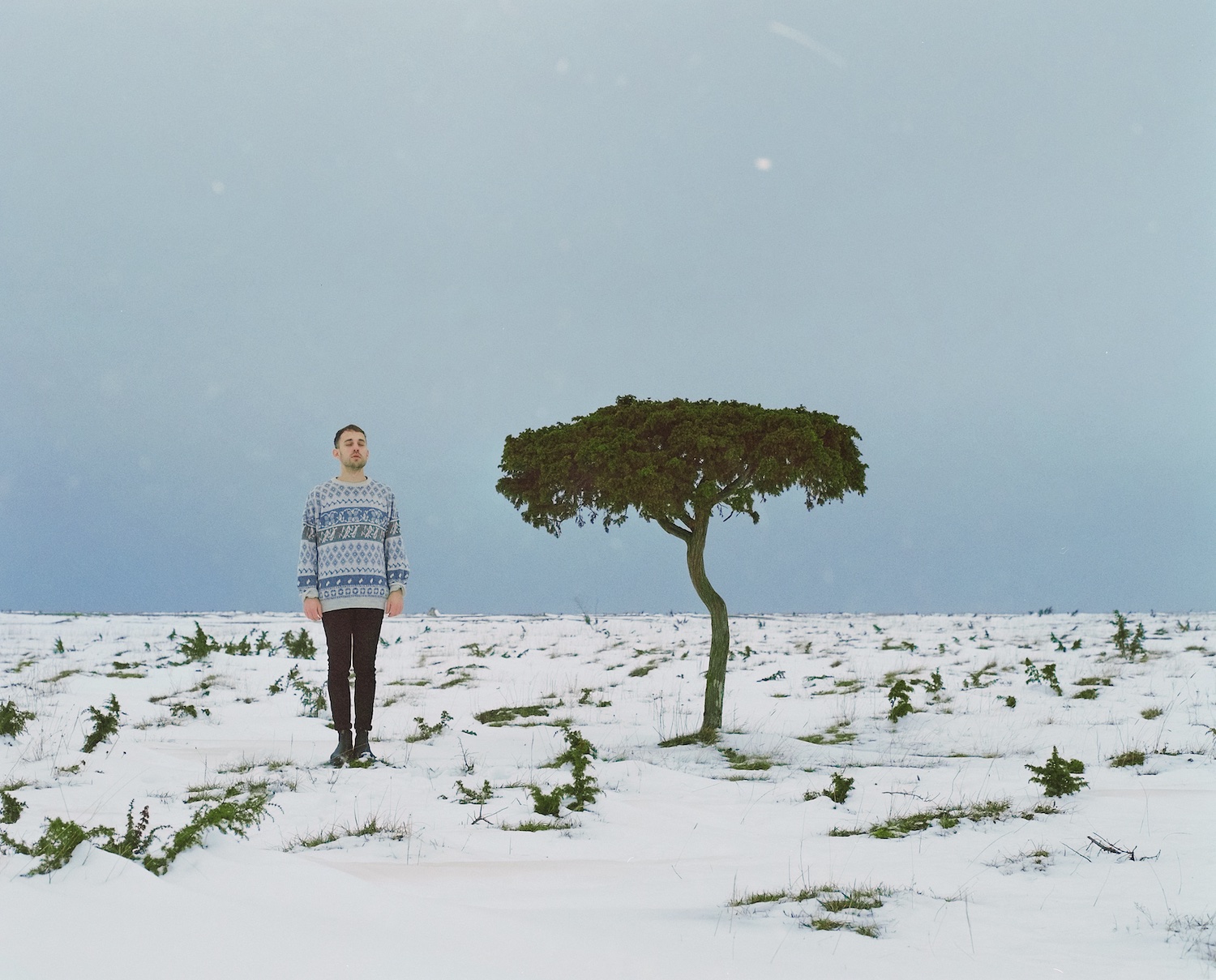 "Dream Away from Daily Life": Inside Plàsi's Sweetly Stirring Sophomore ...