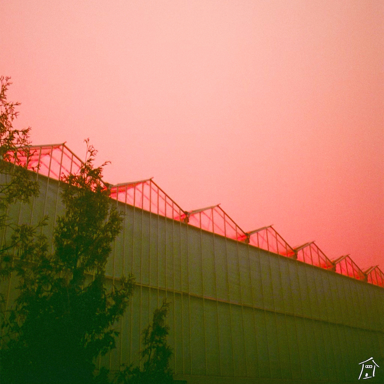 Today's Song: Peter Raffoul Is Barely Moving on in Radiant Second ...