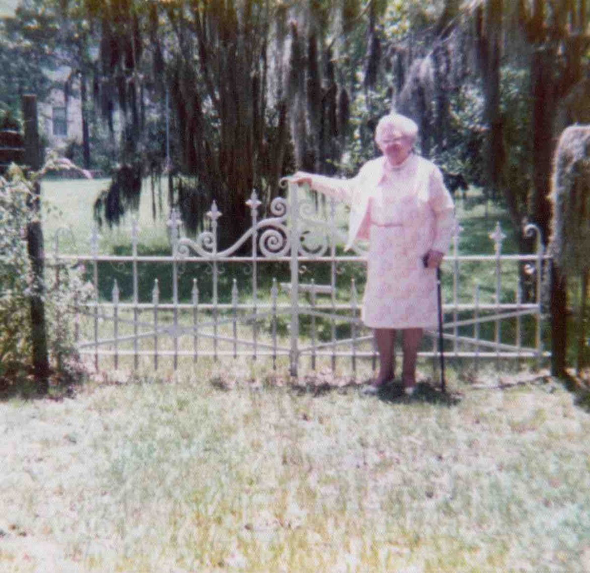 Premiere: Bathe Alone's Urgent & Inspiring "Animals & Trees" Is an ...