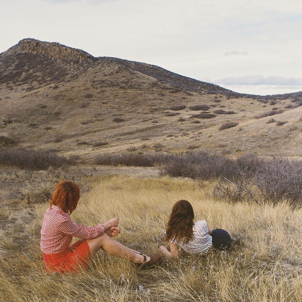 "There is still beauty, even amidst all the darkness": Inside Companion ...