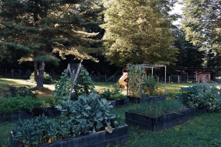 Interview: Alexz Johnson Embraces the 'Seasons' of Life on Her Hopeful & Healing 5th Album ...