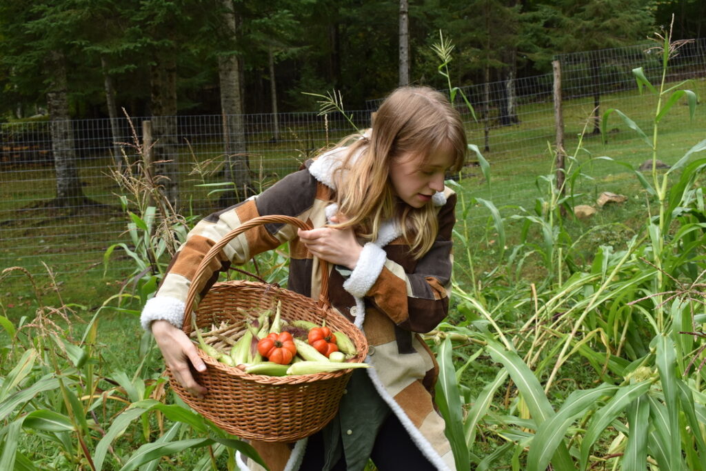 Interview: Alexz Johnson Embraces the 'Seasons' of Life on Her Hopeful & Healing 5th Album ...