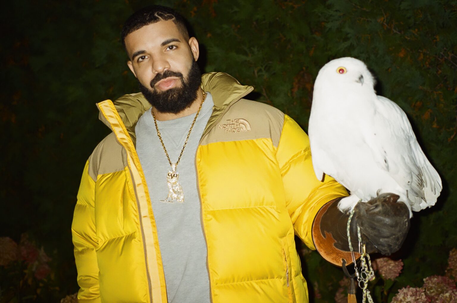 Passionate About "Passionfruit": Drake's Unflappable, Shape-Shifting ...