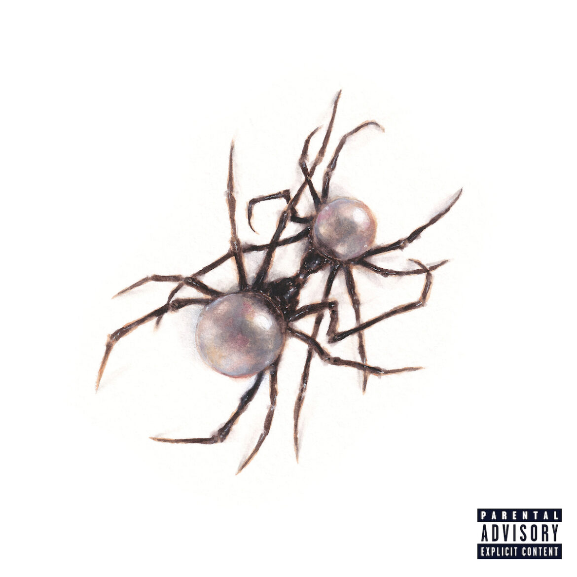 Doja Cat’s ‘Scarlet’ Is a Rap-Centric Pivot for the Superstar - Atwood ...