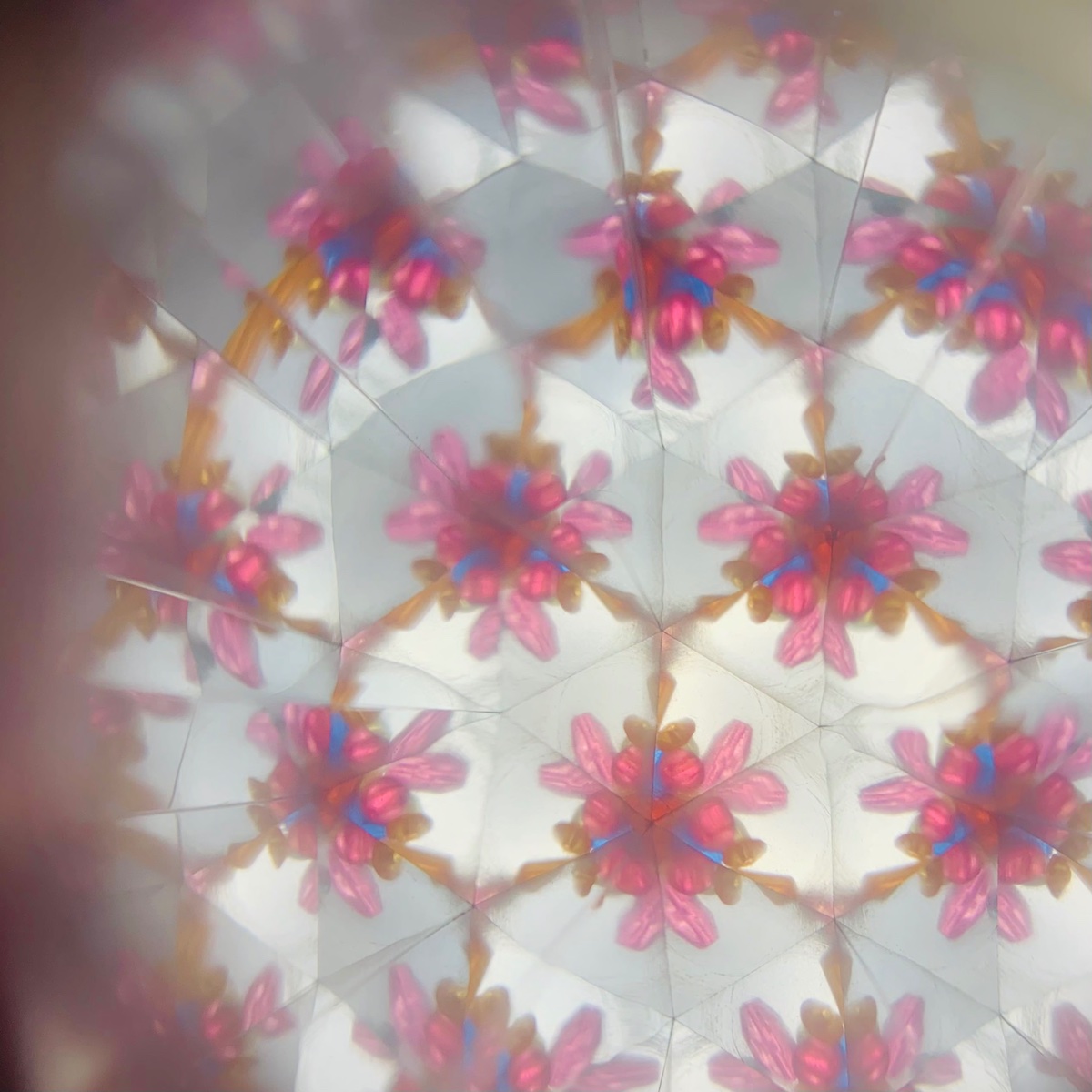 Today's Song: The Gentle, Sun-Kissed Grace of Signe Vange's "Canada ...