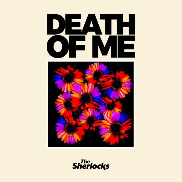The Sherlocks' "Death of Me" Is an Indie Rock Anthem for the Ages ...