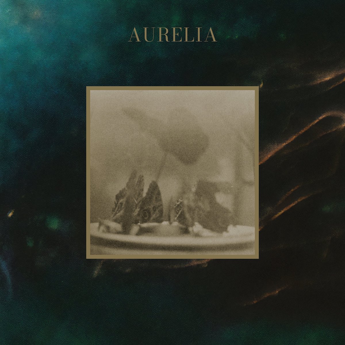 Today's Song: deary Surrender to Fire & Flame on "The Moth," a ...