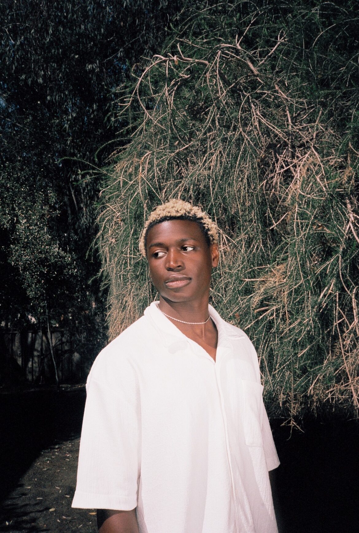 Interview With Mon Rovîa: “The mission of my music is to heal with ...