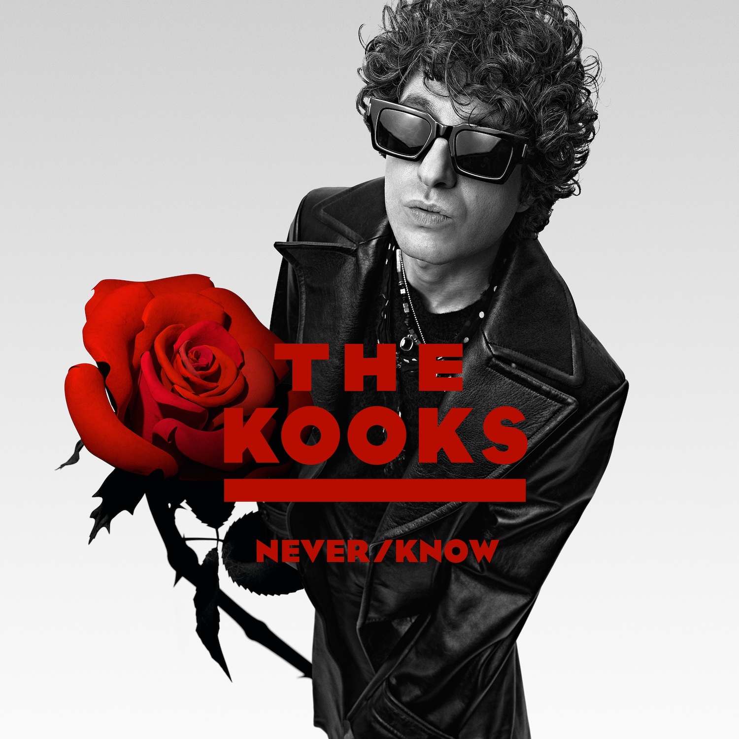 Interview: The Kooks’ Luke Pritchard on Music, Nostalgia, and ...