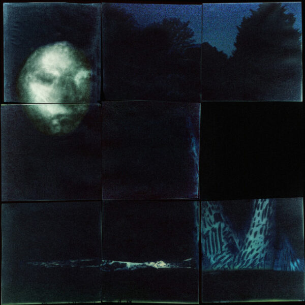 “Love Is Not the Antidote”: Dove Ellis Reckons with Love’s Limits on ...