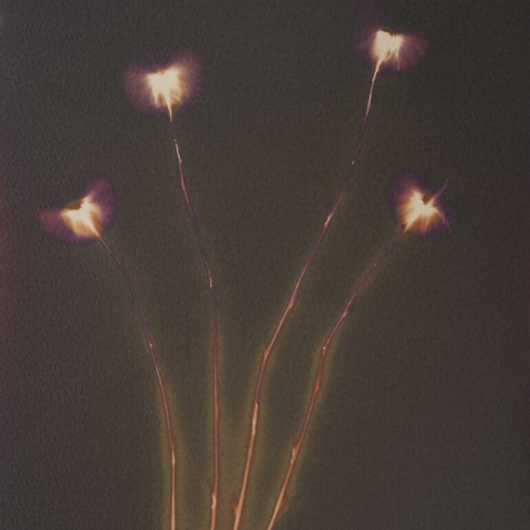 “Spiritual, Subconscious, & Somber”: Theo Bleak Lets Hard Feelings ...