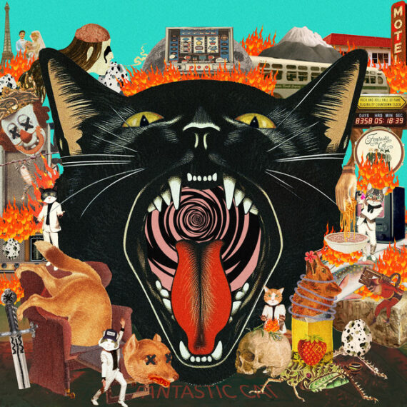 Fantastic Cat Capture the Messy Beauty of Being Alive on ‘Cat Out of ...